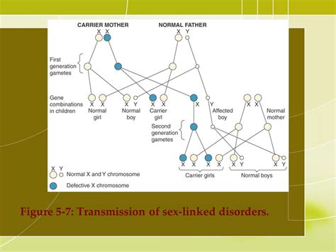 Human Diseases A Systemic Approach Sixth Edition Ppt Video Online
