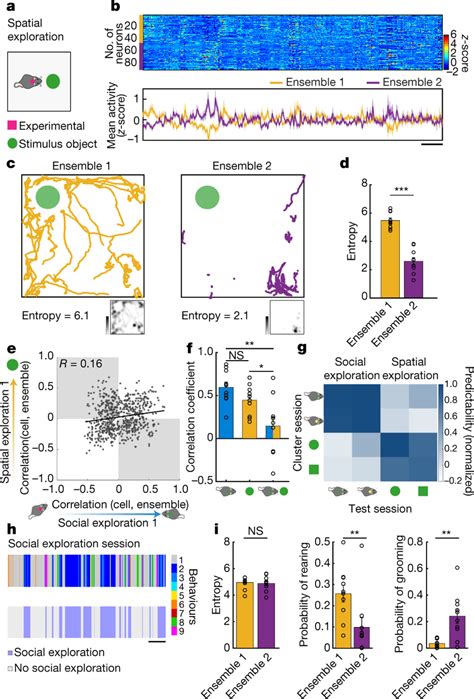 Context Dependent Encoding Of Exploration A Spatial Exploration