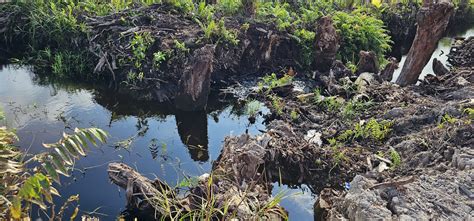 Vacancy Announcement I Can Resource Mobilization Technical Associate