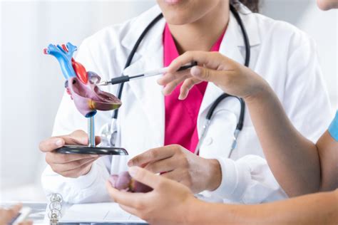 Dicom Introduction Data Formats And Protocol