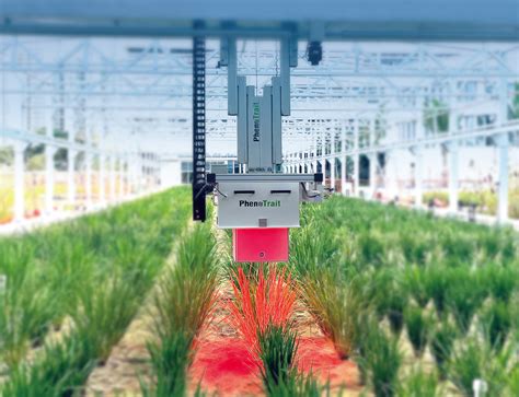 定制化高通量植物表型平台 叶绿素荧光 光合作用 慧诺瑞德