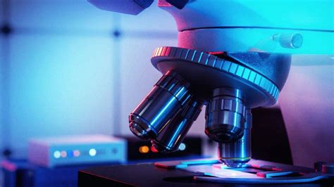 Clear Cell Papillary Renal Cell Carcinoma Symptoms And More