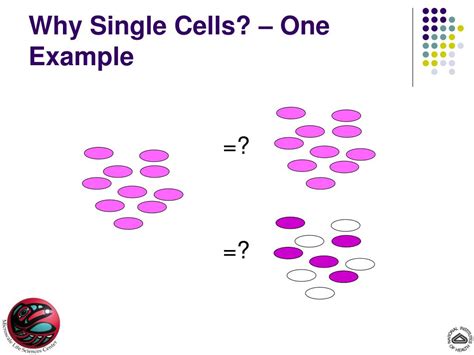 Ppt Exploring Single Cell Variability Understanding The Role Of Noise In Biological Systems
