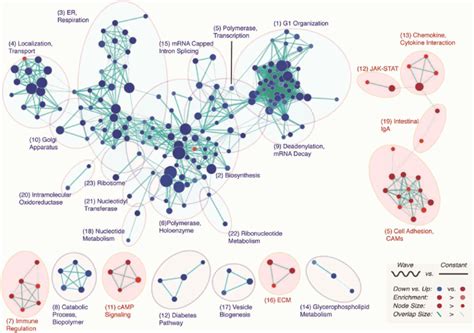 Enrichment Map The Enrichment Map Enables Visualization Of The General Download Scientific