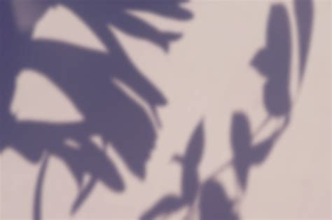 베이지 색 벽에 추상 적인 잎 그림자 디자인에 대 한 오버레이 효과 0명에 대한 스톡 사진 및 기타 이미지 0명 그늘 그림자 Istock