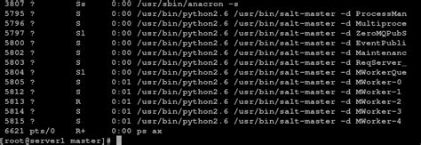 Linux Enterprise Training Chapter Configuration Of Saltstack