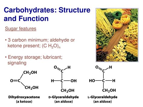 PPT Carbohydrates Structure And Function PowerPoint Presentation