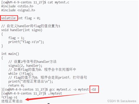 Linux 可重入函数 Volatile Sigchld信号 Csdn博客