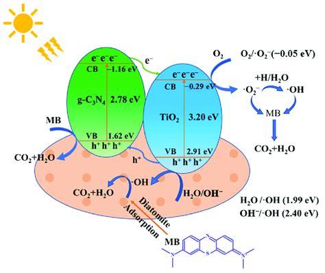 Schematic Diagram Of Electron Hole Migration And Separation Pathways On Download Scientific