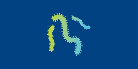 Comprehensive Cronobacter Solutions Pioneering Diagnostics