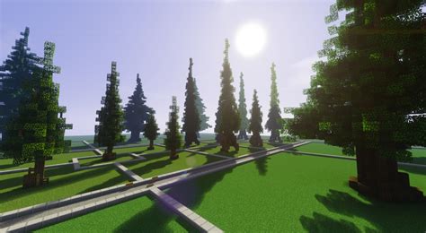 Treepack Custom Trees V Download Minecraft Map