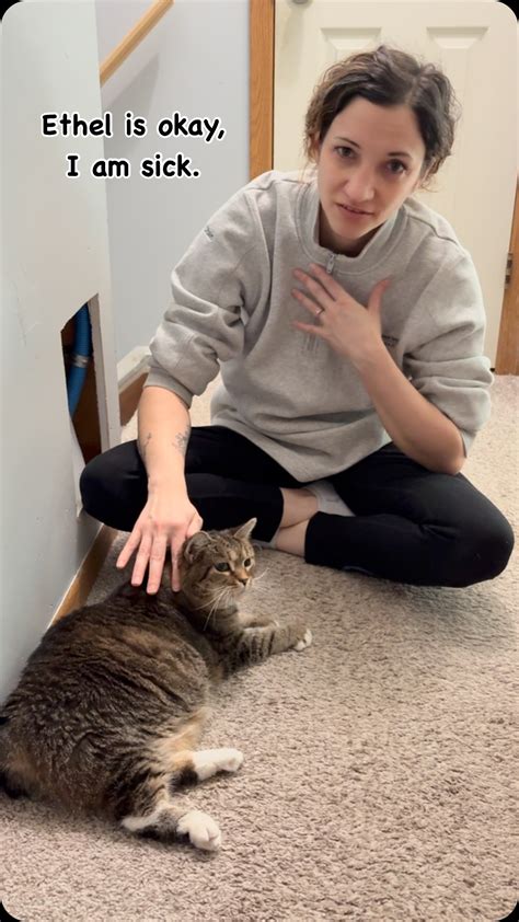 Ethel The Oiia Cat Ethels Story I Adopted Ethel From