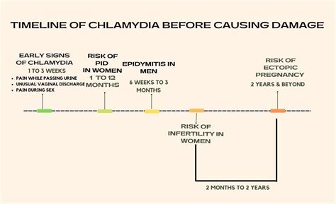 How Long Can You Have Chlamydia Before It Causes Damage Std Testing