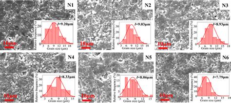 The Microstructural Evolution Of The Nio Doped Zno Varistor Ceramics Download Scientific Diagram