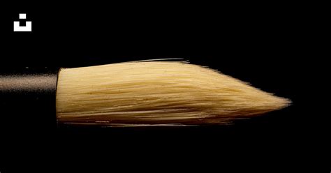 흰색 바탕에 갈색 브러시 사진 Unsplash의 무료 브러시 이미지