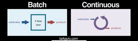 Difference Between Continuous And Batch Process
