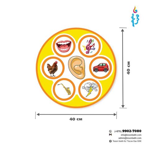 Үржүүлэхийн хүрд