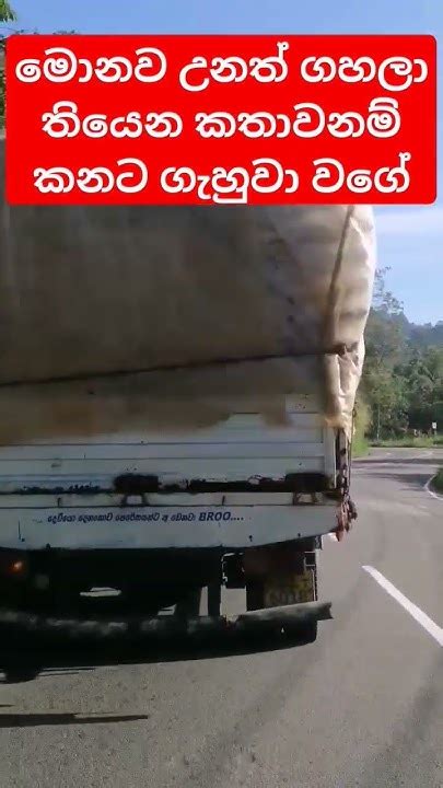 බර ලොරියේ බර වදනක් Youtube