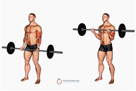 Hammer Curls Vs Bicep Curls How To Build Biceps Width And Peak Biceps Workout Biceps Hammer Curls