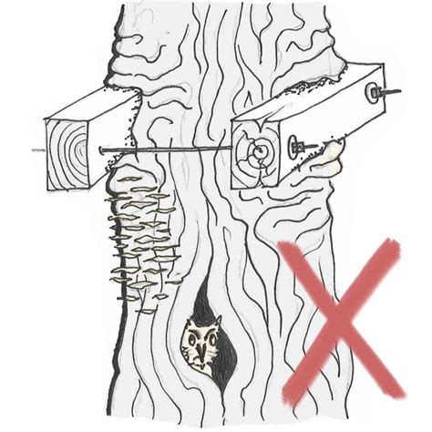 Treehouse Building Attachment Methods Compared Casitas De Arbol Cabaña Arbol Casa Del Arbol
