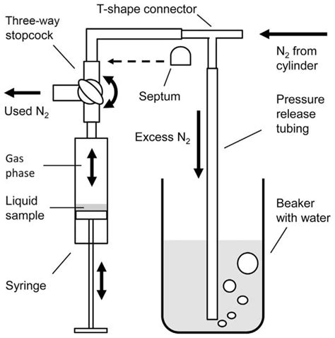 H2S Analysis In Biological Samples Using Gas Chromatography With Sulfur Chemiluminescence
