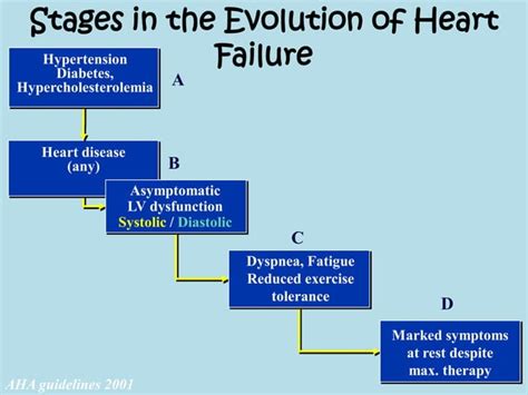 2012 Cardiac Lecture 2 Pathologies Ppt