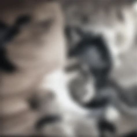 Understanding Effexor Side Effects And Implications