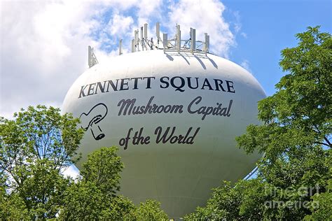 What Is Kennett Square Known For At Gabriella Kintore Blog