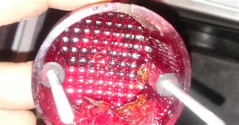 Tail Light Overheating Album On Imgur