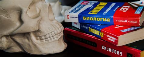 School House Репетитор Биология и Химия 2025 Онлайн школа подготовки к ЕГЭ и ОГЭ ВКонтакте