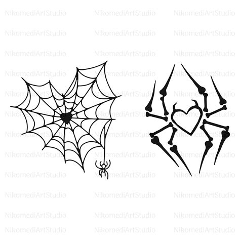 Spider Web Drawings