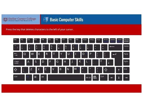 Digital Literacy Assessment Module Upwork