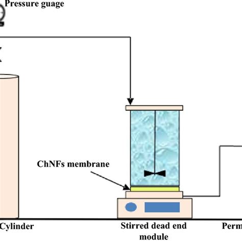 diagramatic representation of dead end filtration set up download scientific diagram