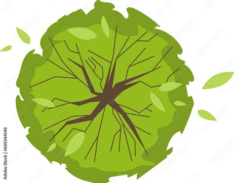 Tree Or Plant Top View For Landscape Design Icon Colored Tree For Architectural Map Plan