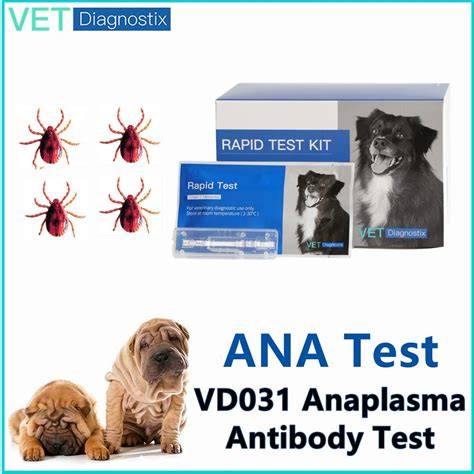 Ana Ab Rapid Test Canine Anaplasma Antibody Rapid Diagnostic Test Ana
