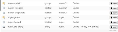 Nexus安装以及nginx配置代理nexus36proxy设置 Csdn博客