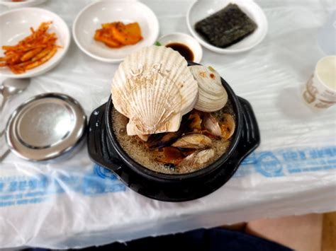 속초 강릉 음식여행 에펨코리아