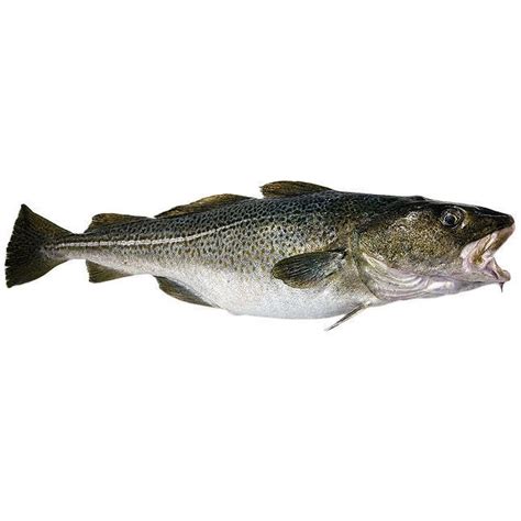 How And How Long To Cook Cod