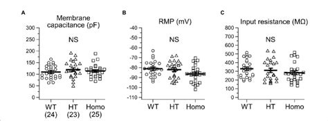 Passive Membrane Properties Of Somatosensory Layer Ii Iii Pyramidal Download Scientific Diagram