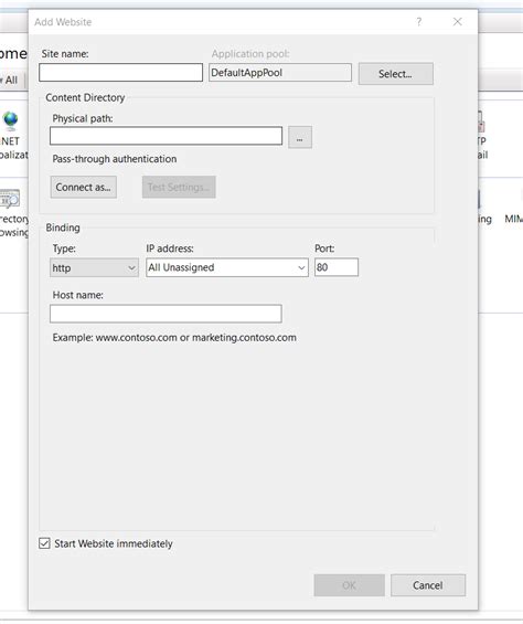 How To Host Webapi Project With The Current Build On Iis