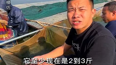 小黄车连夜赴广东，满载烧油乐回家，突遇到一点小意外 Youtube