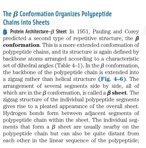 Explain The Beta Sheet Of Protein Structure With Diagram And Also Let Me Know From