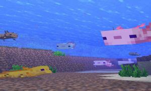 Minecraft How To Spawn Blue Axolotl With Commands