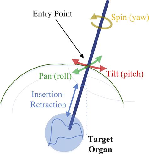 A Schematic Of The Patient Tool Coordinate System In Robot Assisted