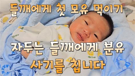 들깨 모유 먹이기 자두는 들깨에게 분유 사기를 칩니다 Youtube