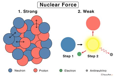 Nuclear Force Definition Characteristics And Applications