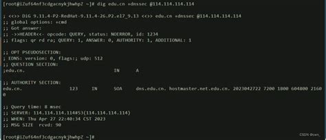 实验5 Dns协议分析与测量cwn的博客 Csdn博客