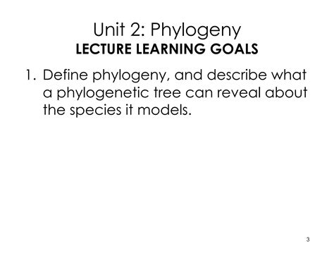 Lecture 02 2 04 2021 Phylogeny Pdf