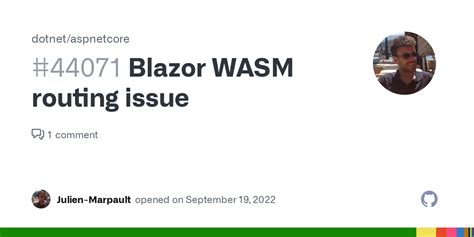 Blazor Wasm Routing Issue Issue Dotnet Aspnetcore Github