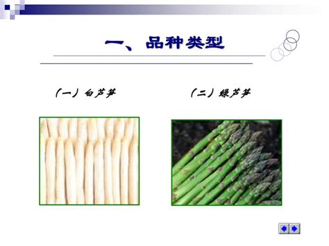 关于芦笋的谜语 豆角的谜语有哪些 关于冬瓜的谜语 大山谷图库